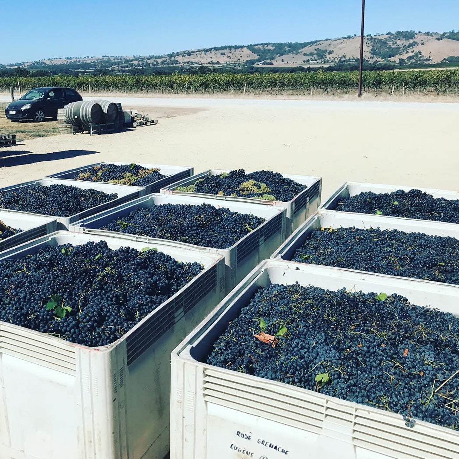 About Us — Kent Street Cellars