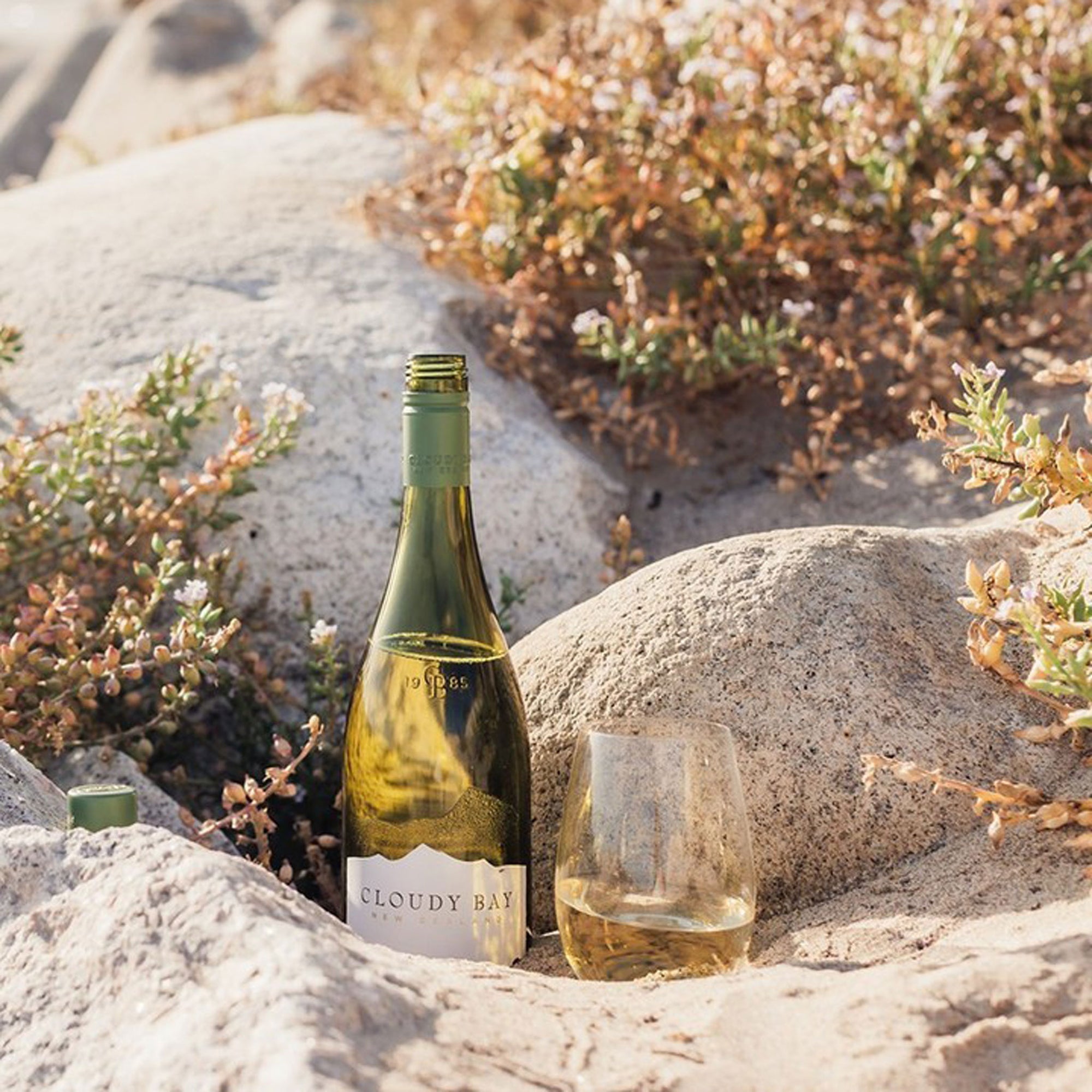 Cloudy Bay Sauvignon Blanc 2023 | Kent Street Cellars